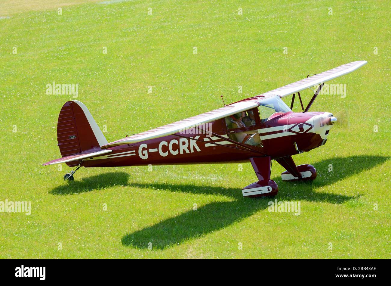 Luscombe aeroplane aircraft hi-res stock photography and images - Alamy