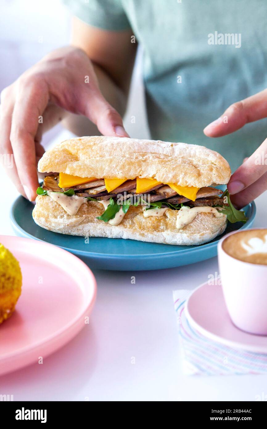 Roast beef with julienne cut prime beef ciabatta sub sandwich served in ...