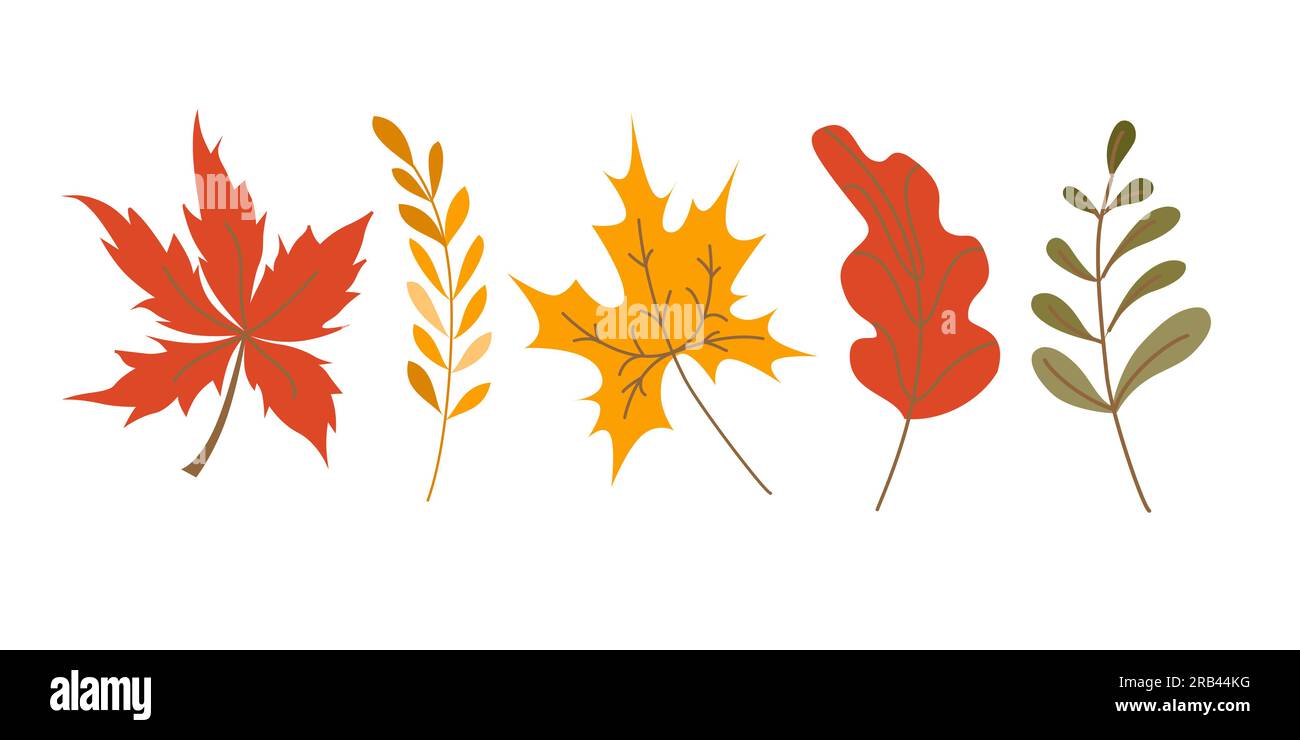 Cute Autumn colorful leaves cartoon style. Fall leaves set, isolated on ...