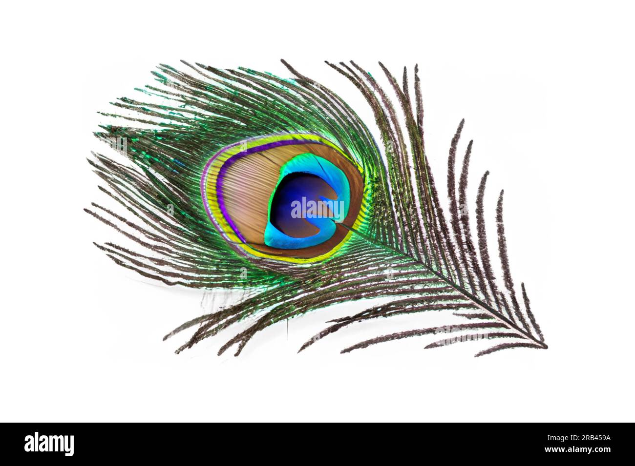 Peacock Feather, Abstract Art Stock Photo - Alamy