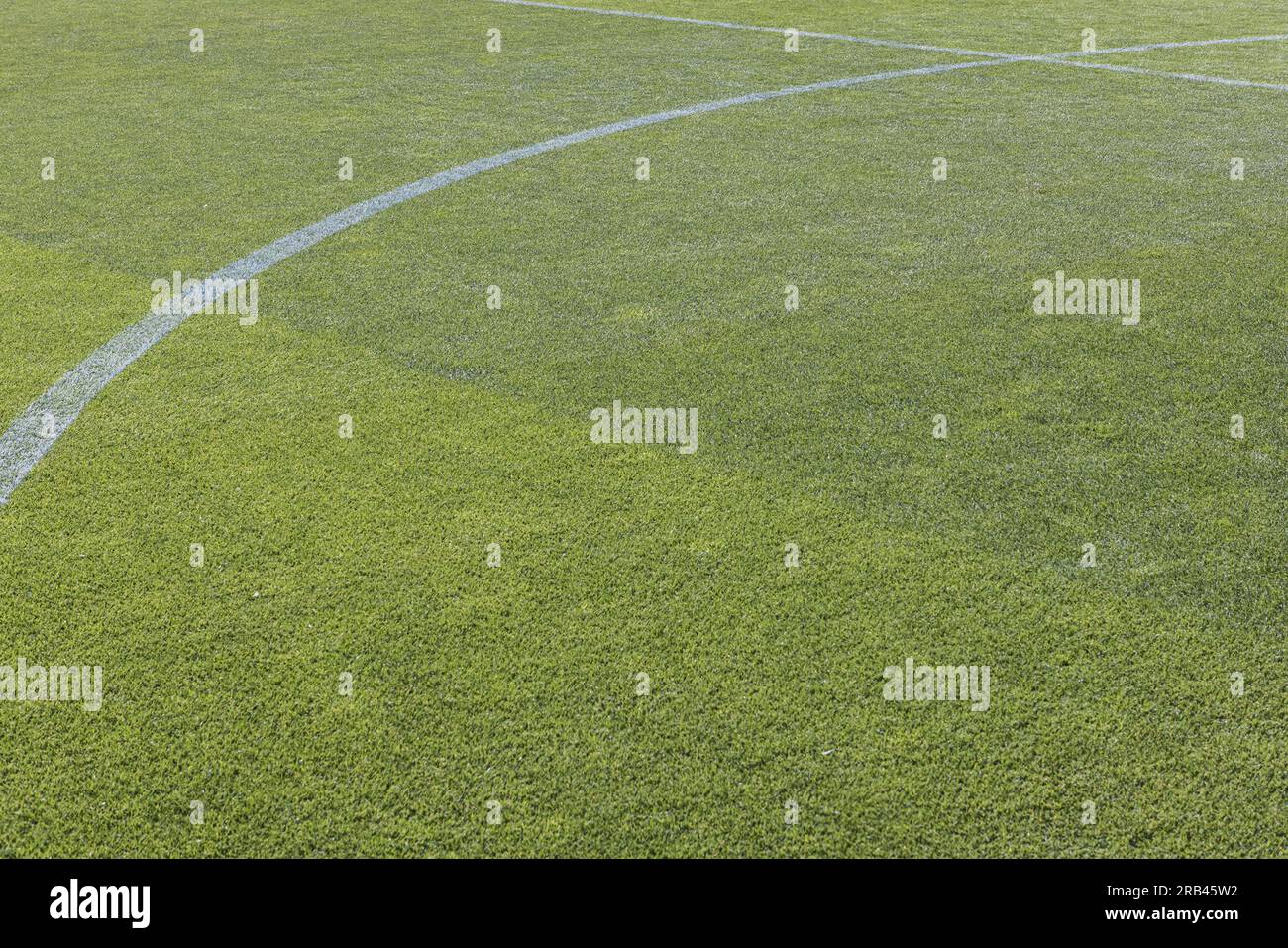 Soccer field of natural grass, seeing the part of the center of the ...