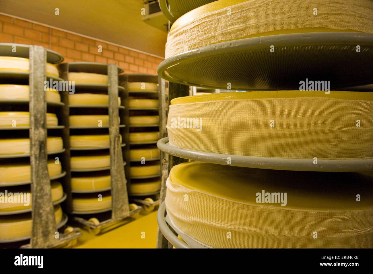 Switzerland, Canton Bern, Affolter Im Emmental, dairy production of ...