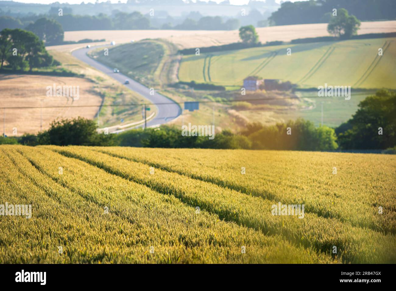 agricultural farm crop fields in england uk Stock Photo - Alamy