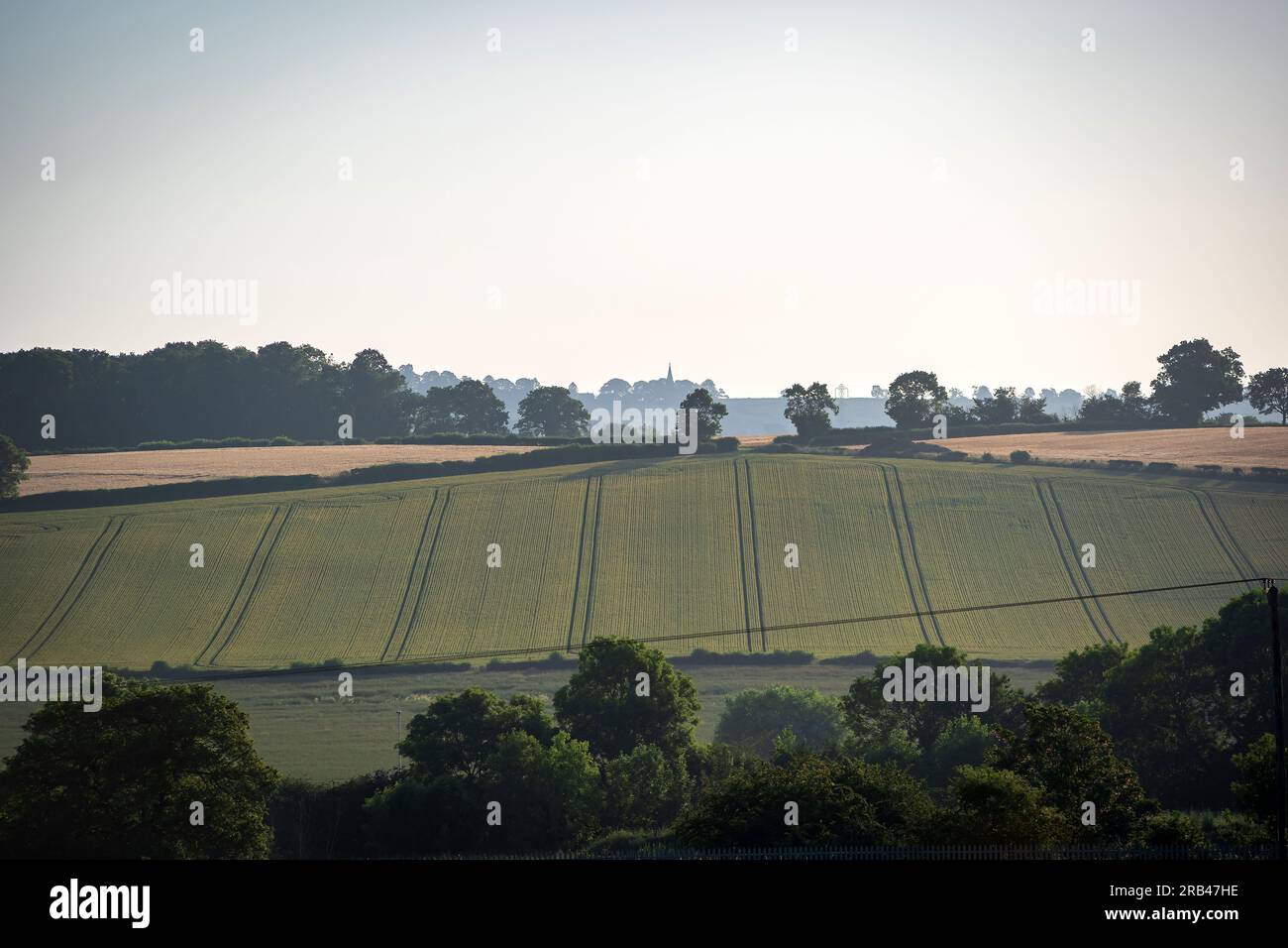 agricultural farm crop fields in england uk Stock Photo - Alamy
