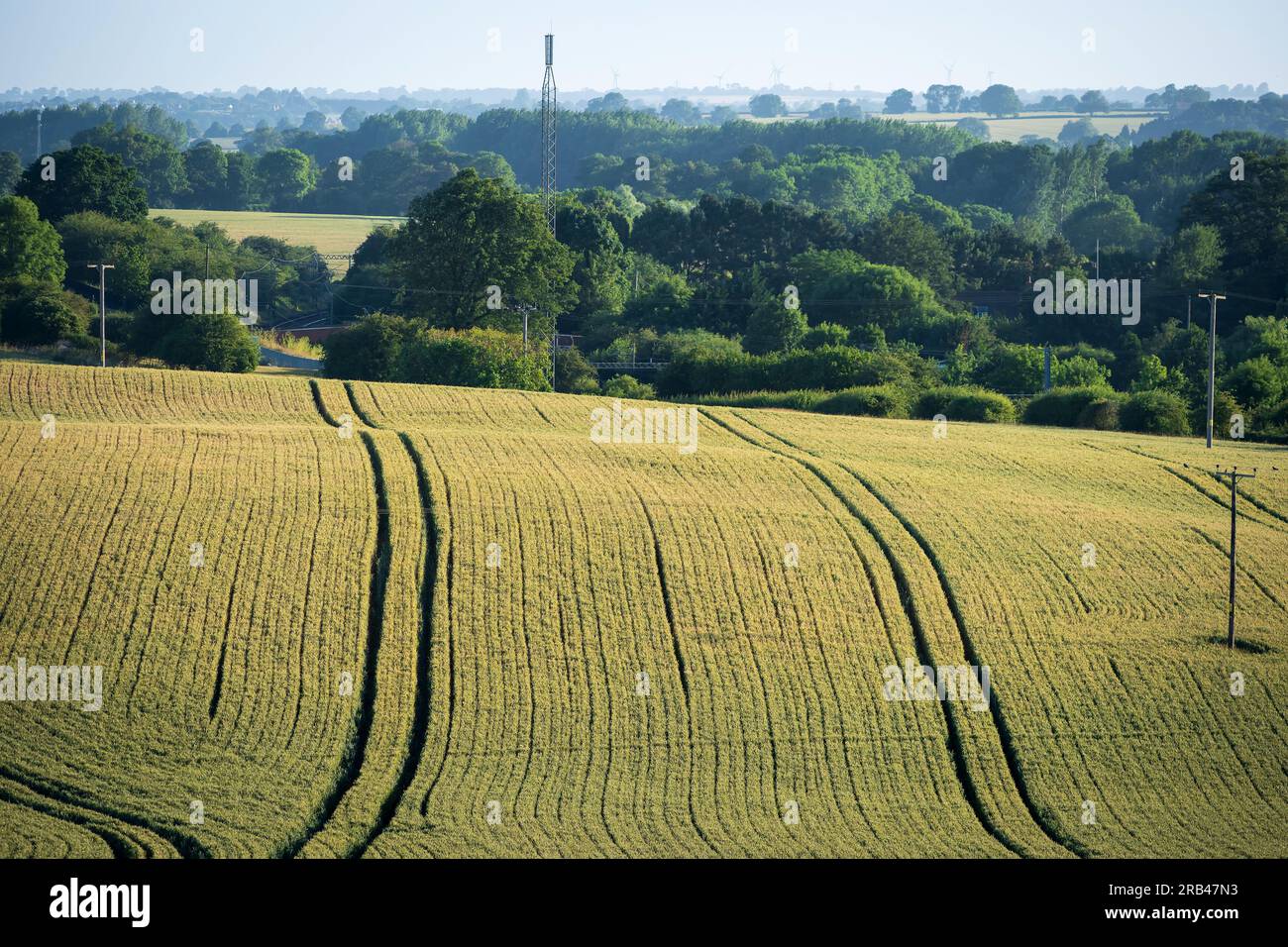 agricultural farm crop fields in england uk Stock Photo - Alamy