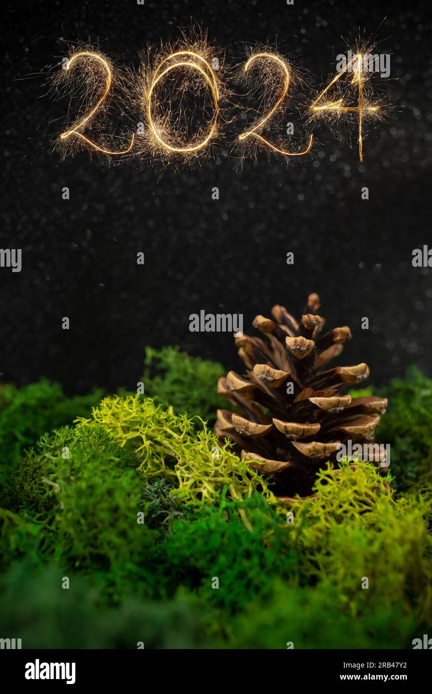 Pine cone in lush lichen moss, with 2024 number written with bengal ...