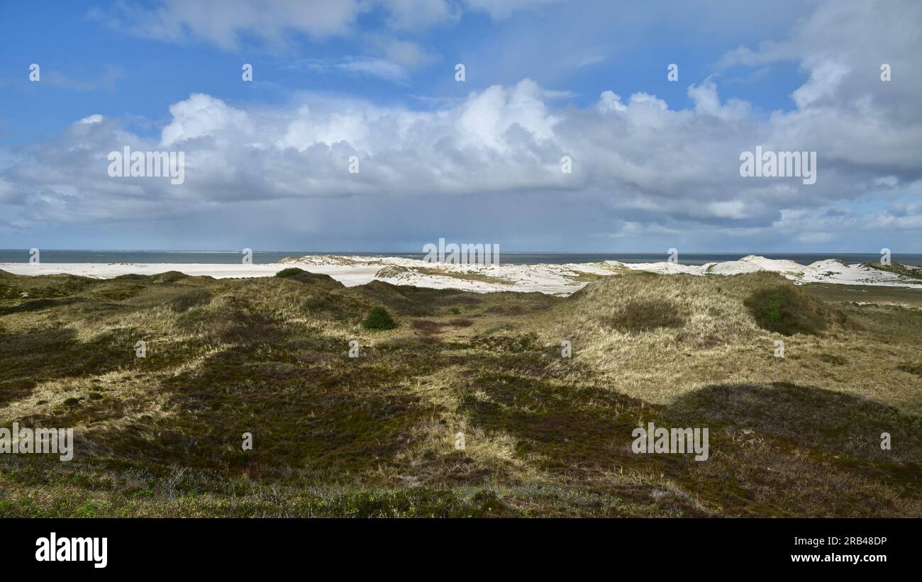 Beaches and dunes between the villages of Norden and Nebel, Amrum ...