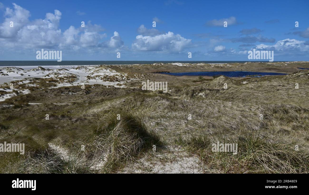 Beaches and dunes between the villages of Norden and Nebel, Amrum ...
