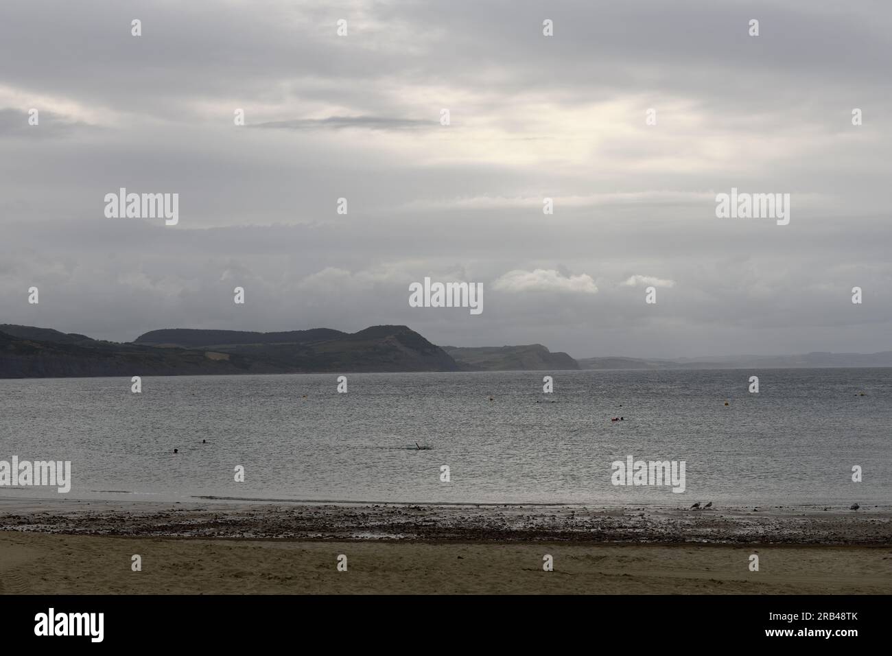 Lyme Bay with Swimmers enjoying their morning exercise Lyme Regis ...