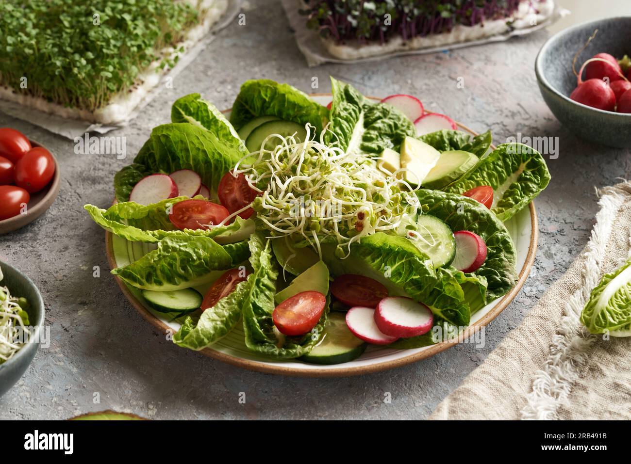 Vegetable salad with homegrown radish sprouts, with broccoli and ...