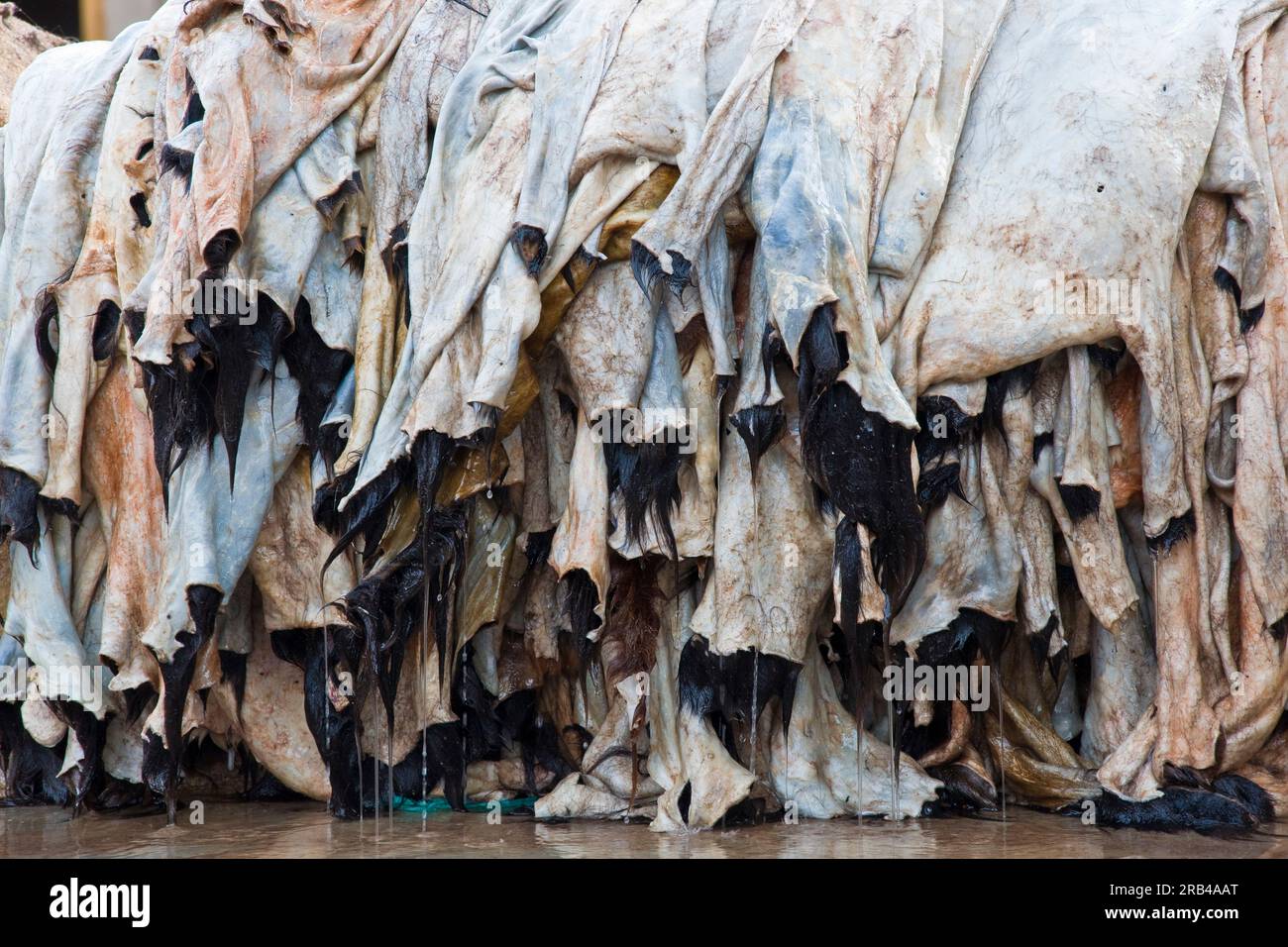 Marrakech tanneries hi-res stock photography and images - Alamy