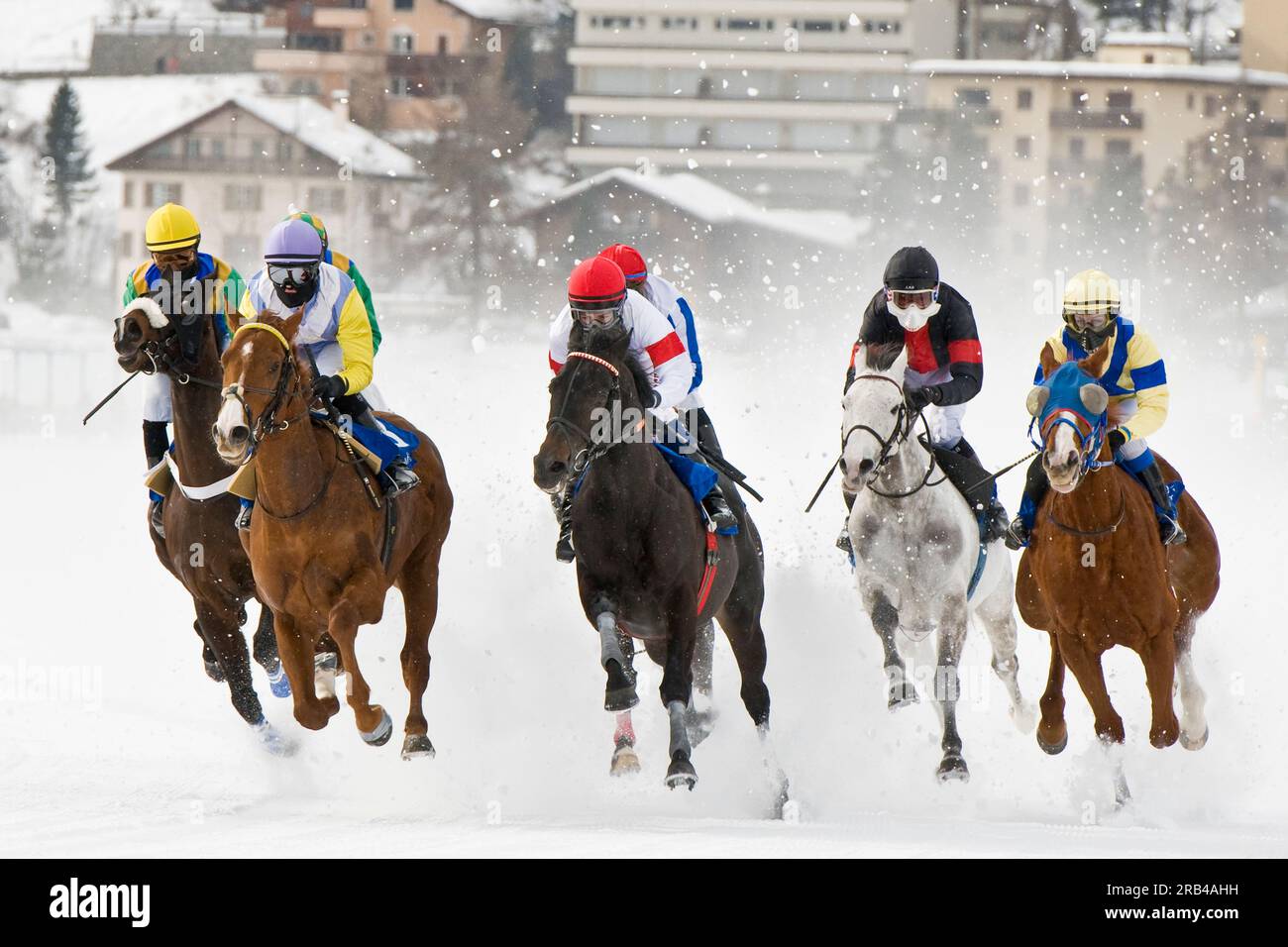 Switzerland, St. Moritz, White turf race Stock Photo - Alamy