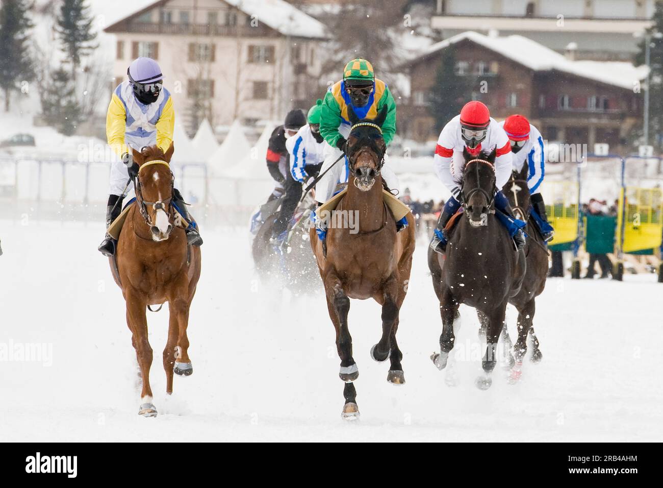 Switzerland, St. Moritz, White turf race Stock Photo - Alamy