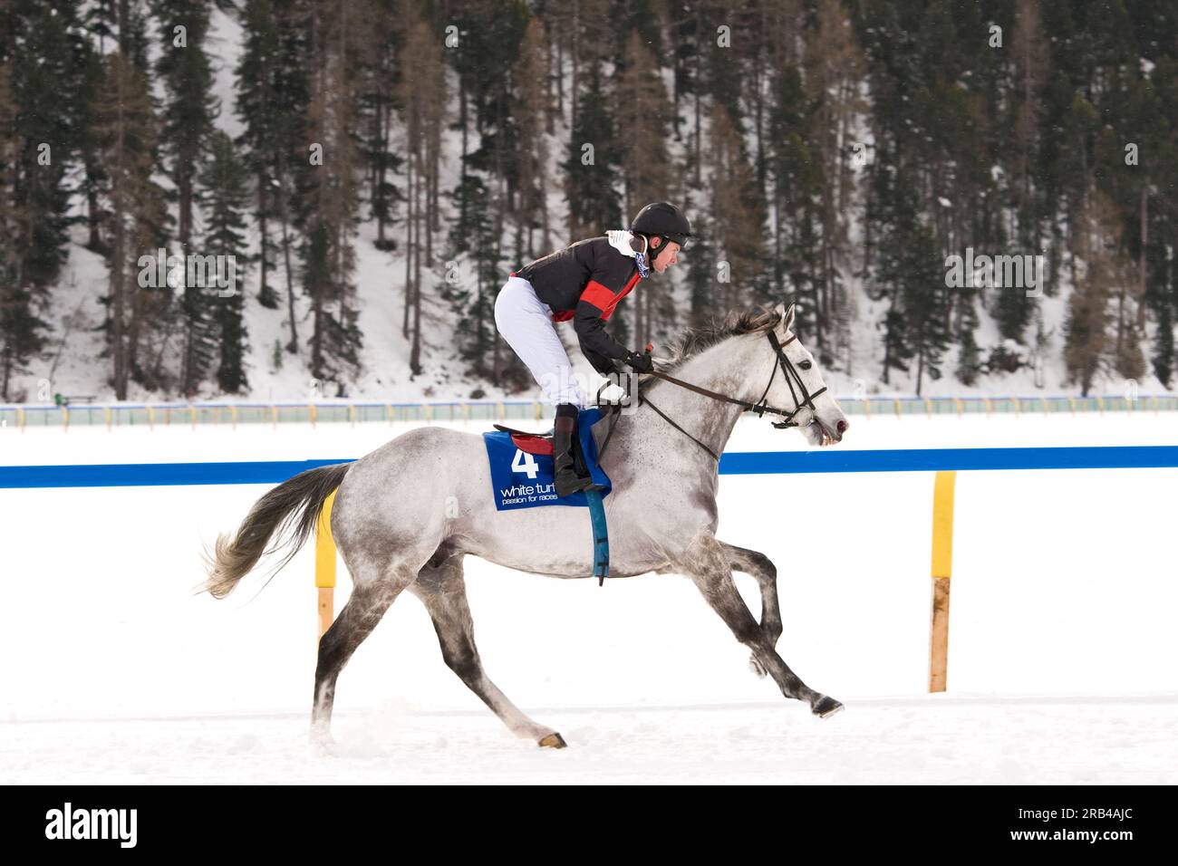 Switzerland, St. Moritz, White turf race Stock Photo - Alamy