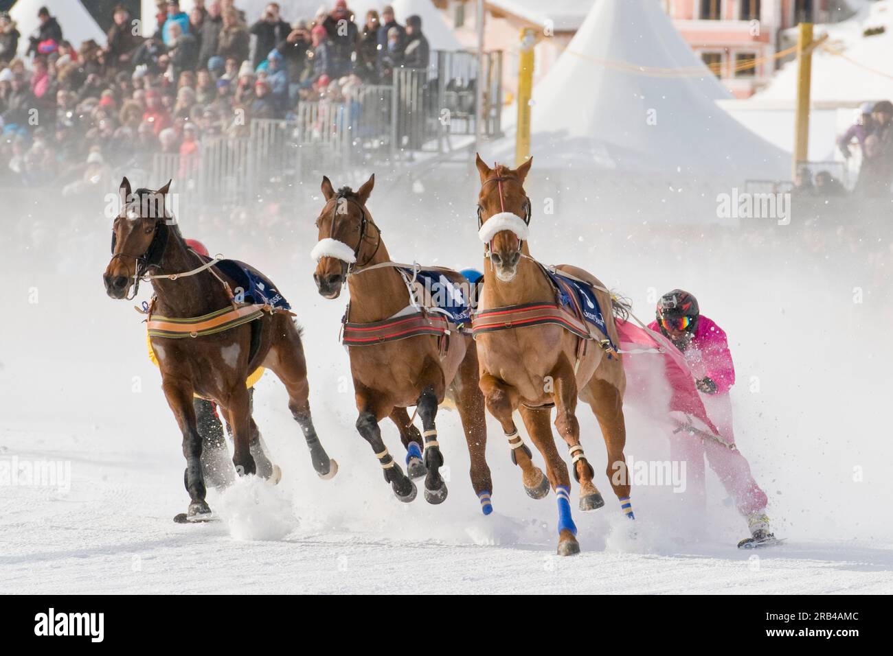 Switzerland, St. Moritz, White turf race Stock Photo - Alamy