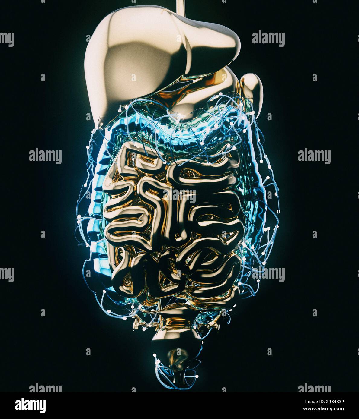 Abstract 3D view of the gut physiology Stock Photo - Alamy Abstract 3D view of the gut physiology Stock Photo - Alamy