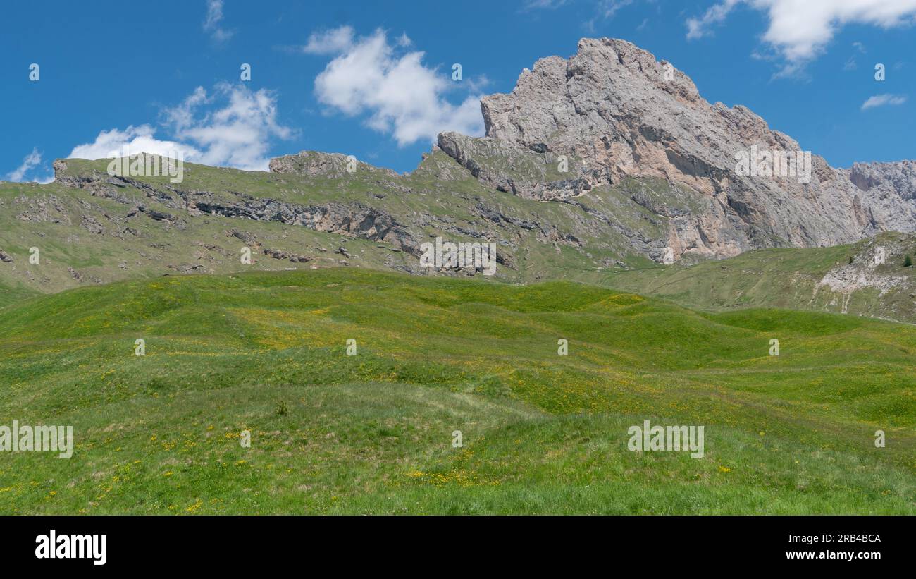 Green hilly meadows in the Geislerspitzen mountains (Gruppo delle Odle ...