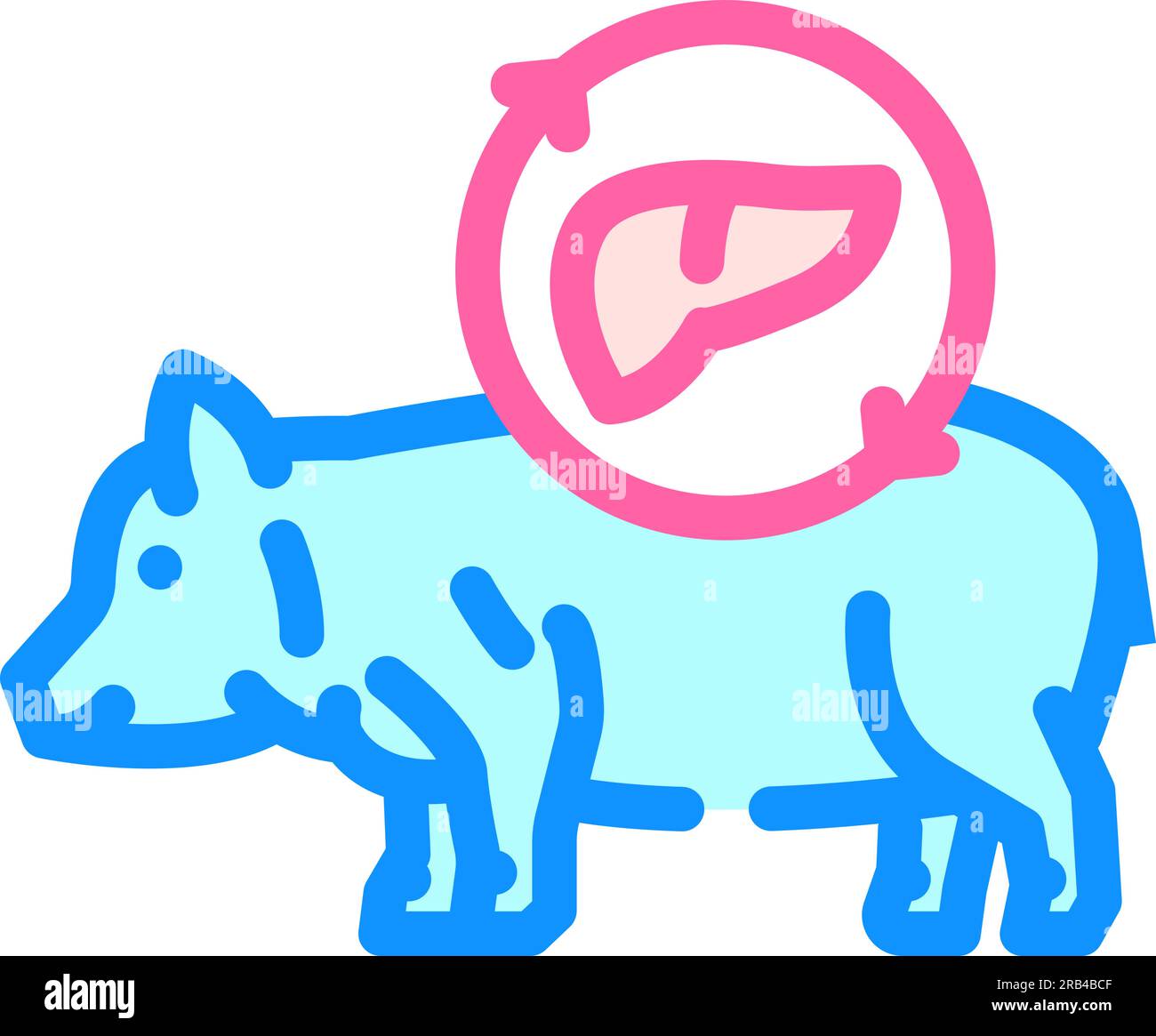 Xenotransplantation hi-res stock photography and images - Alamy