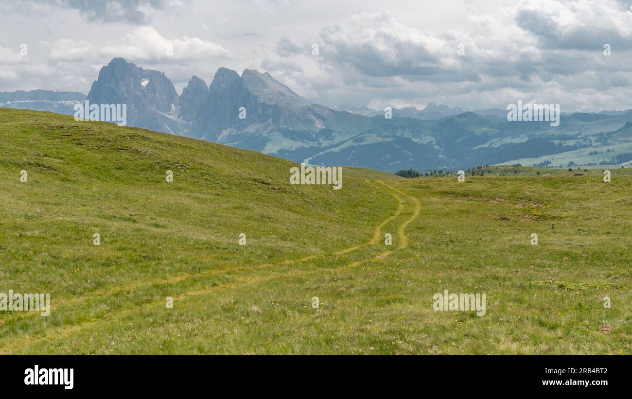 At the Seiser Alm / Alpe di Siusi in front of the Langkofel ...