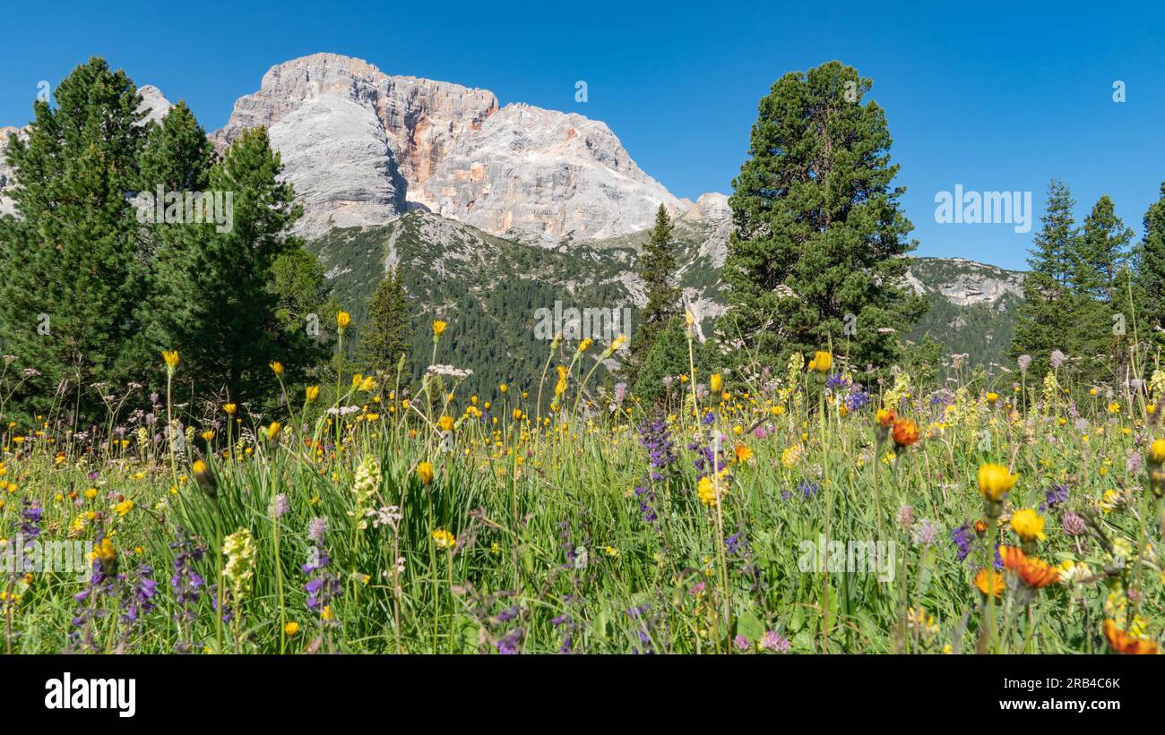 Beautiful mountain landscape at the Plätzwiese / Prato Piazza in the ...