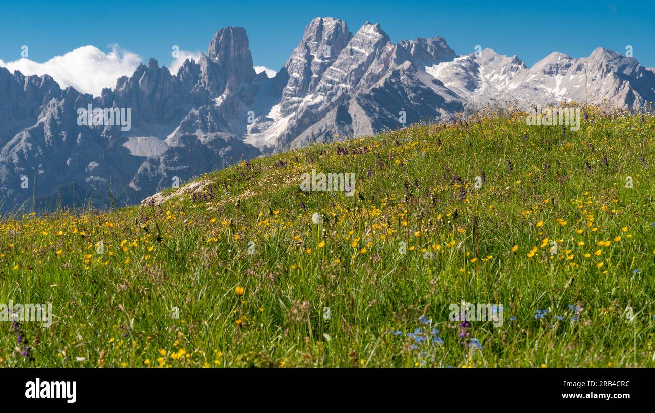 Beautiful mountain landscape at the Plätzwiese / Prato Piazza in the ...