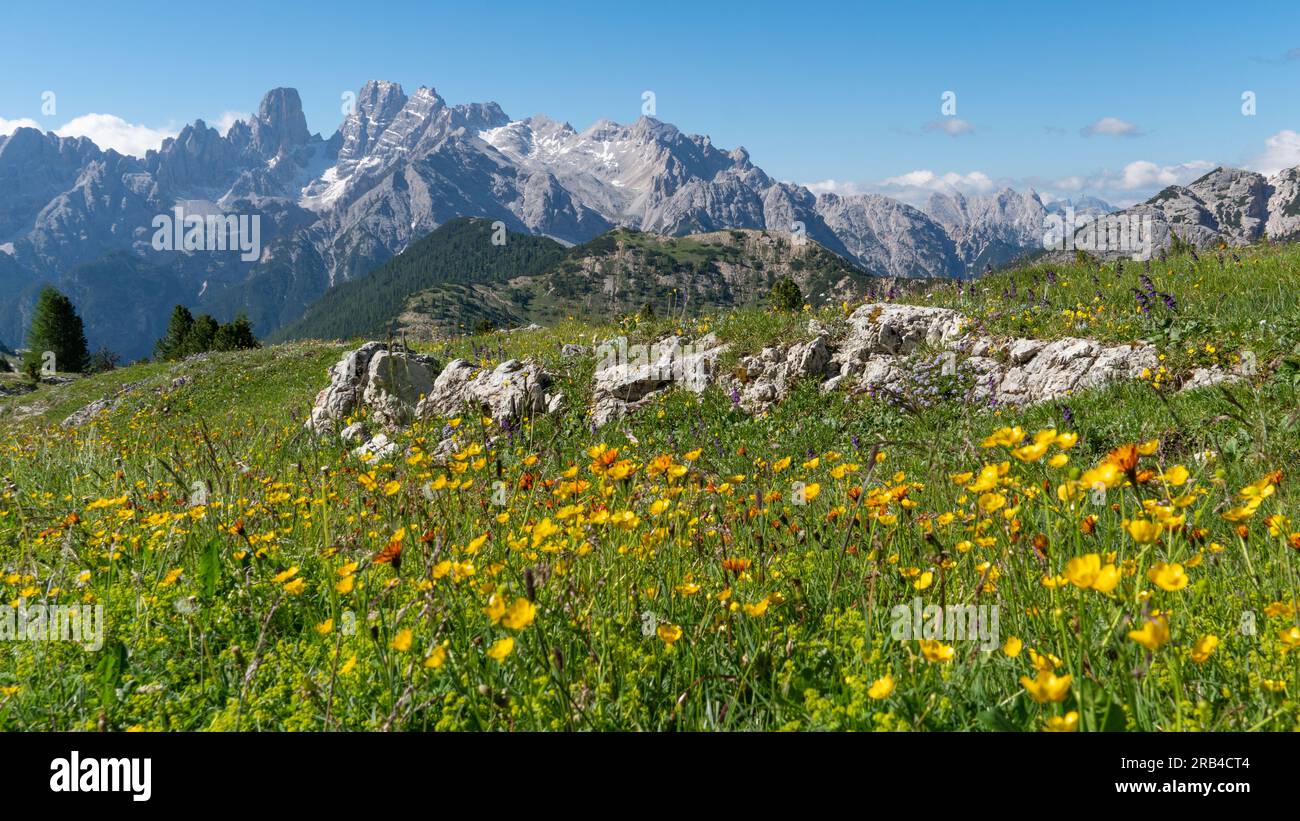 Beautiful mountain landscape at the Plätzwiese / Prato Piazza in the ...