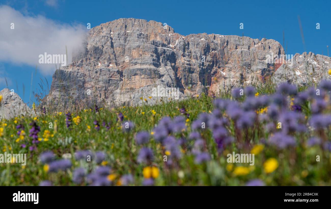 Beautiful mountain landscape at the Plätzwiese / Prato Piazza in the ...