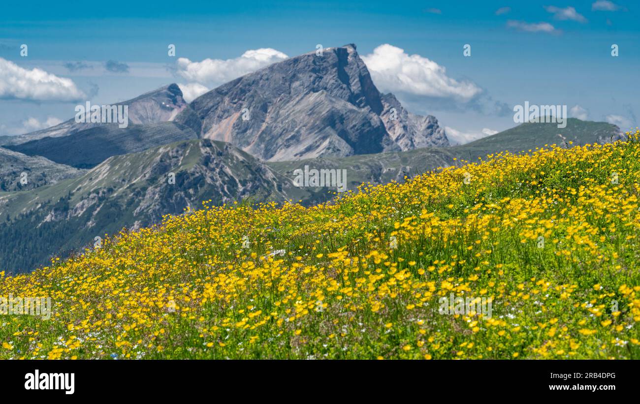 Beautiful mountain landscape at the Plätzwiese / Prato Piazza in the ...