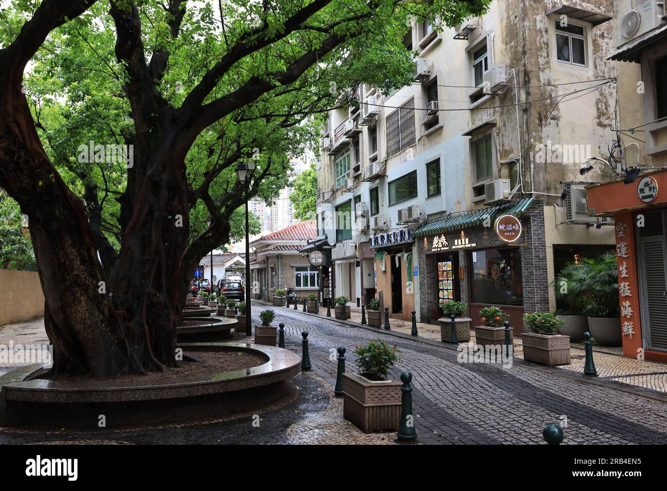 Macau, China July 2 2023: street view of Rua Do Cunha. Rua Do Cunha is ...