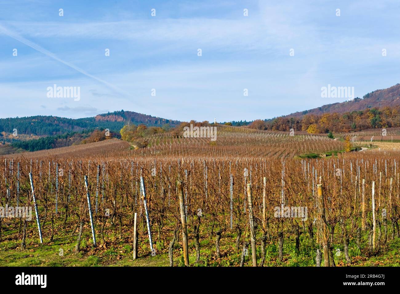 Alsace france fields hi-res stock photography and images - Alamy