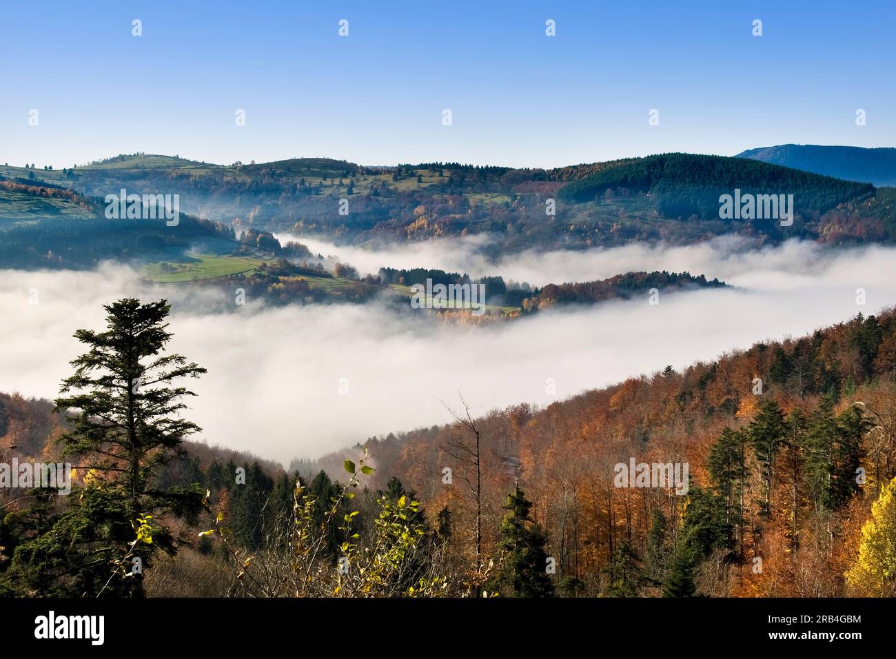 Landscape surrounding Haut Koenigsbourg castle, alsace, france Stock ...