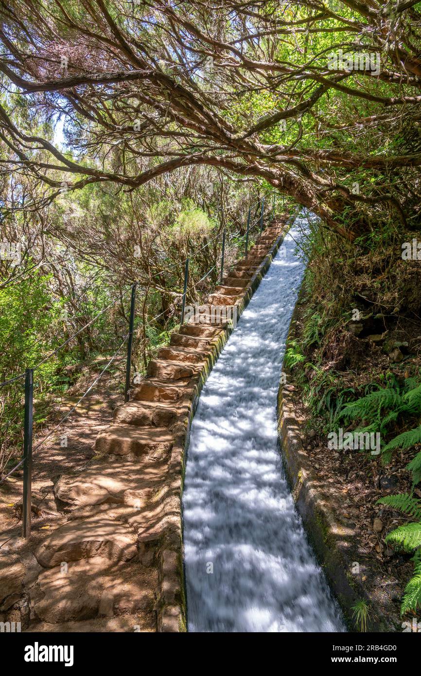 Narrow trail along levada do Alecrim (irrigation canal) in the island ...