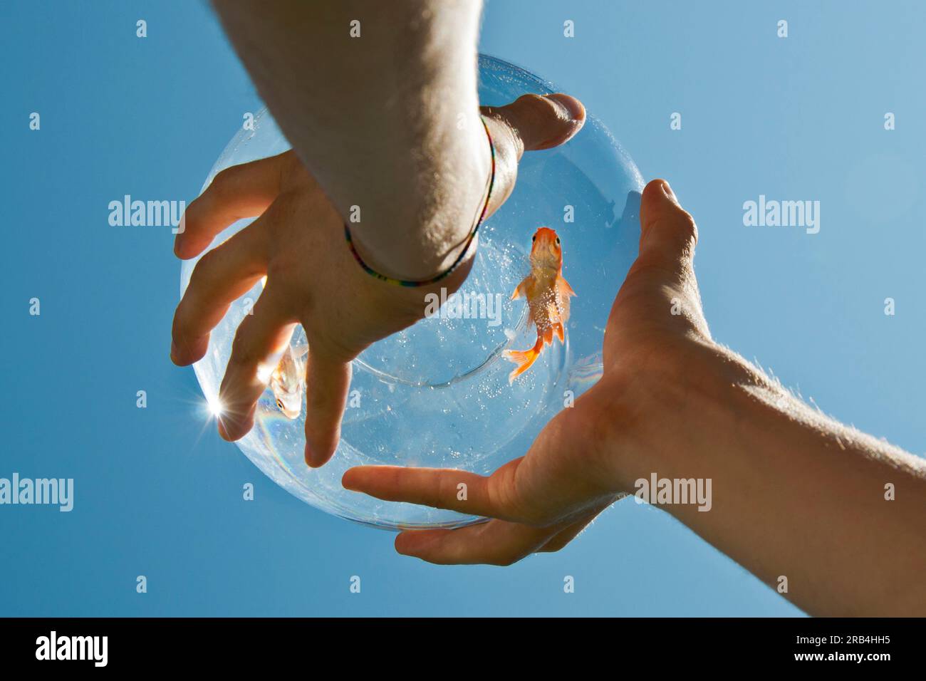 Hand fish tank hi-res stock photography and images - Alamy