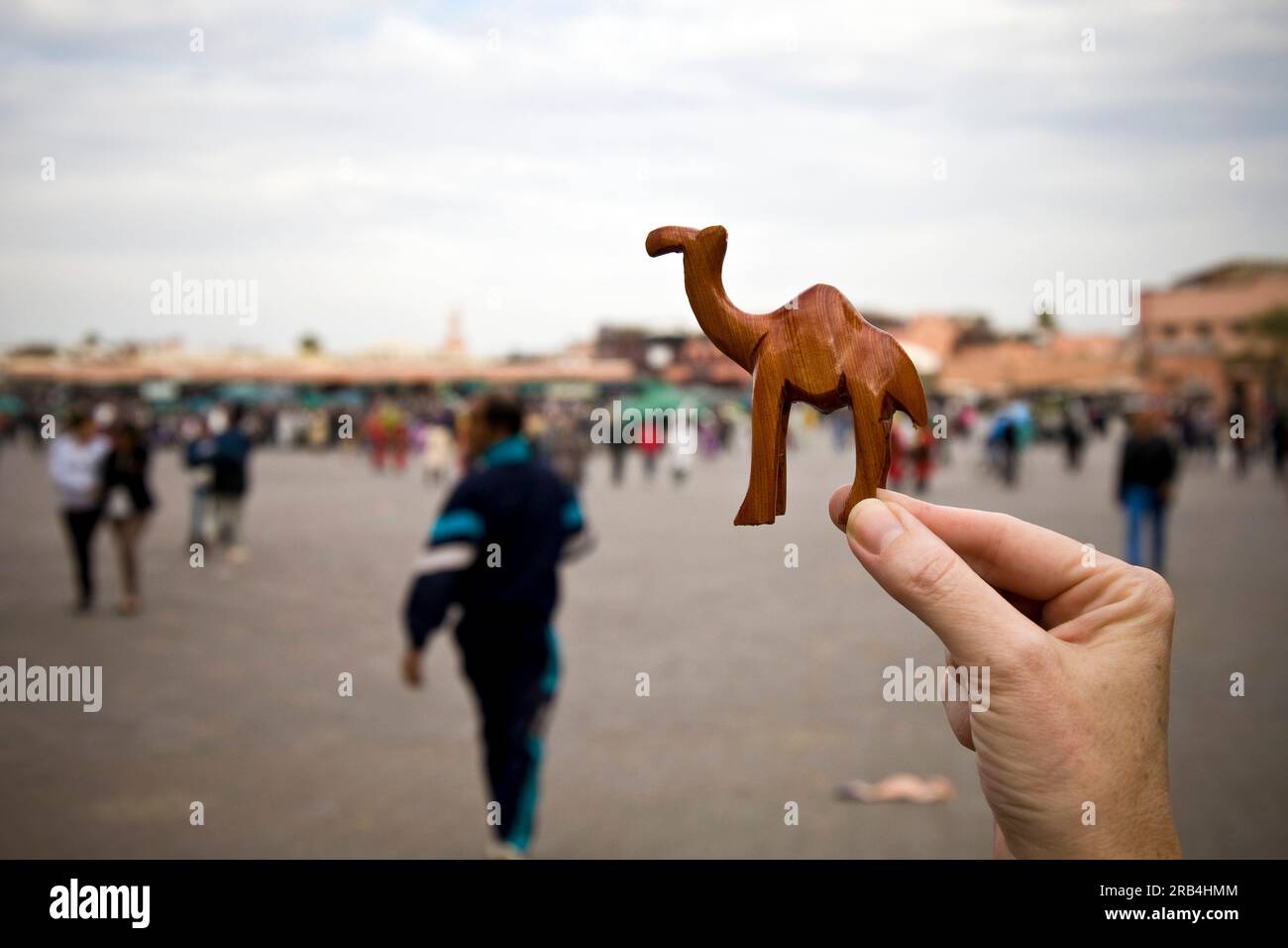 Camel marrakech morocco hi-res stock photography and images - Alamy