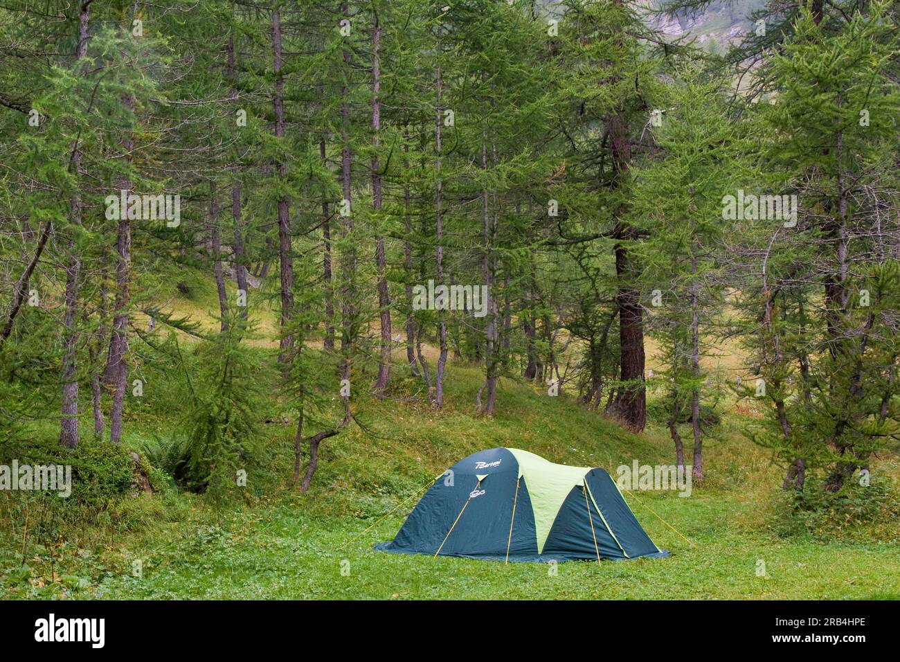 Wood camping hi-res stock photography and images - Alamy
