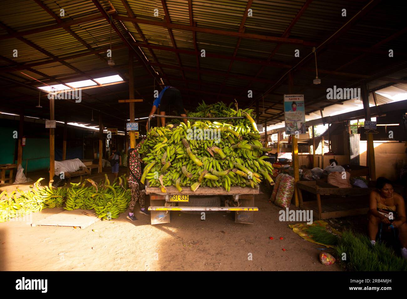 Tarapoto, Peru; 1st October 2022: Banana wholesale market in the city ...