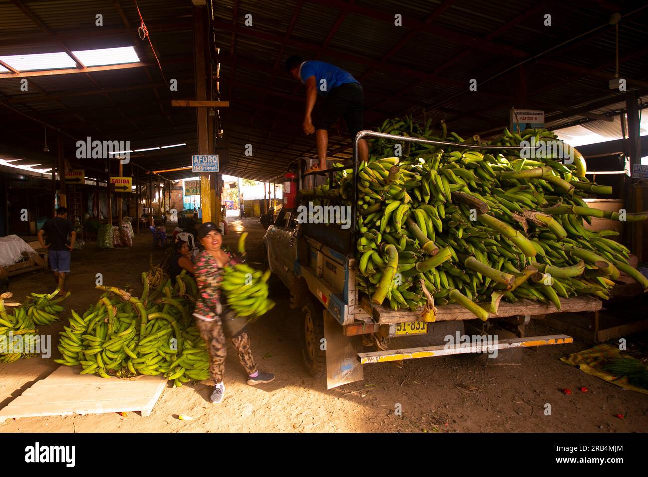 Tarapoto, Peru; 1st October 2022: Banana wholesale market in the city ...