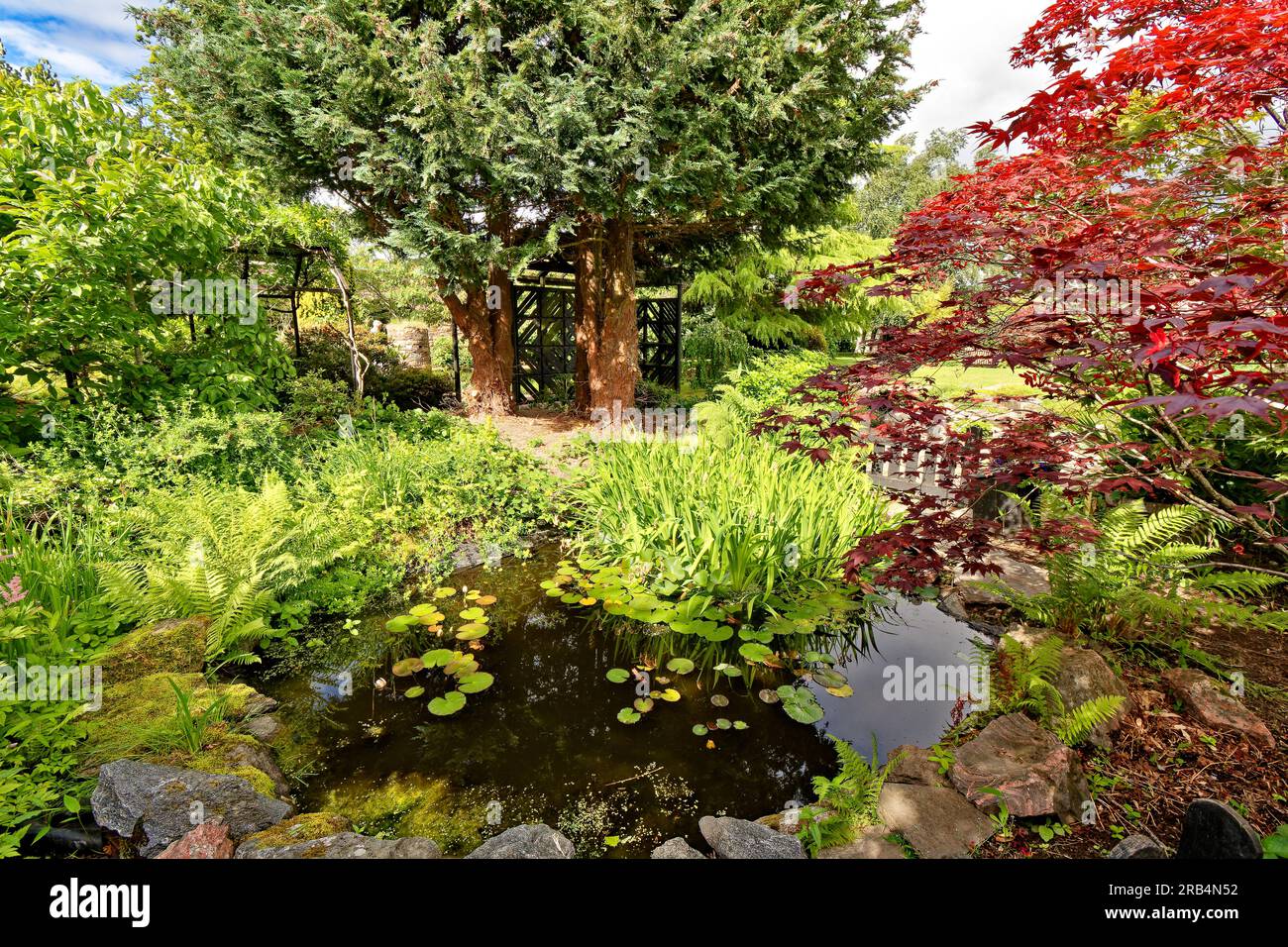 Inverness Botanic Gardens Scotland a small pond and Acer tree in the ...