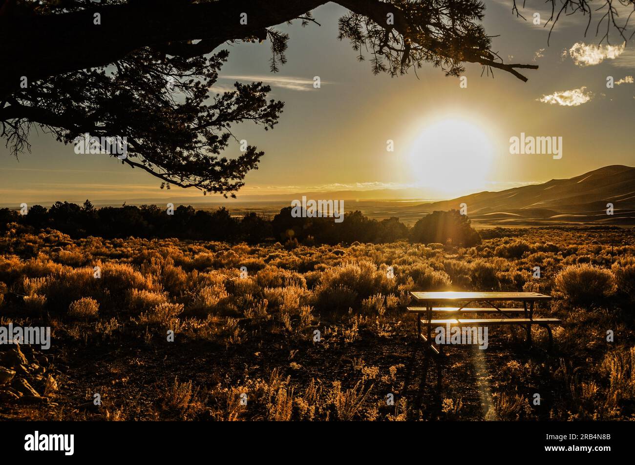 A campground picnic table at sunset at Piñon Flats Campground in Great ...