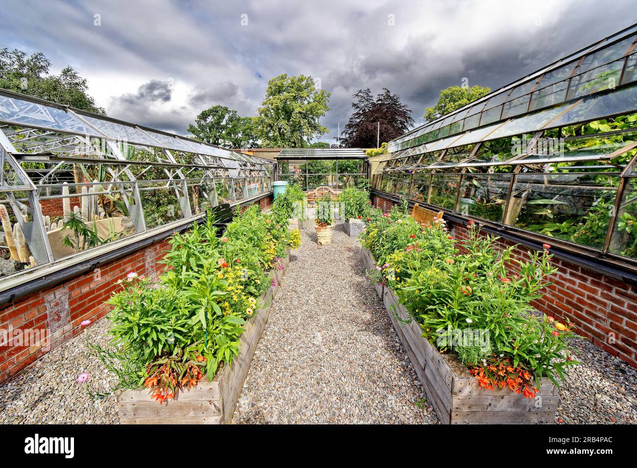 Inverness Botanic Gardens Scotland two greenhouses and planters full of ...