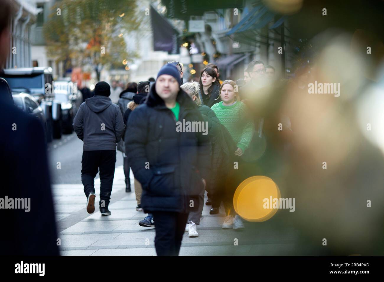 Tree shoppers hi-res stock photography and images - Alamy