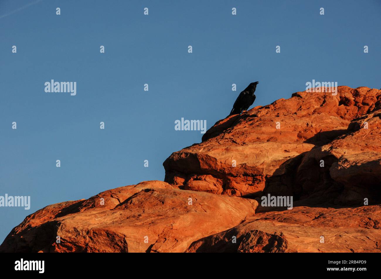 Raven arches national park hi-res stock photography and images - Alamy