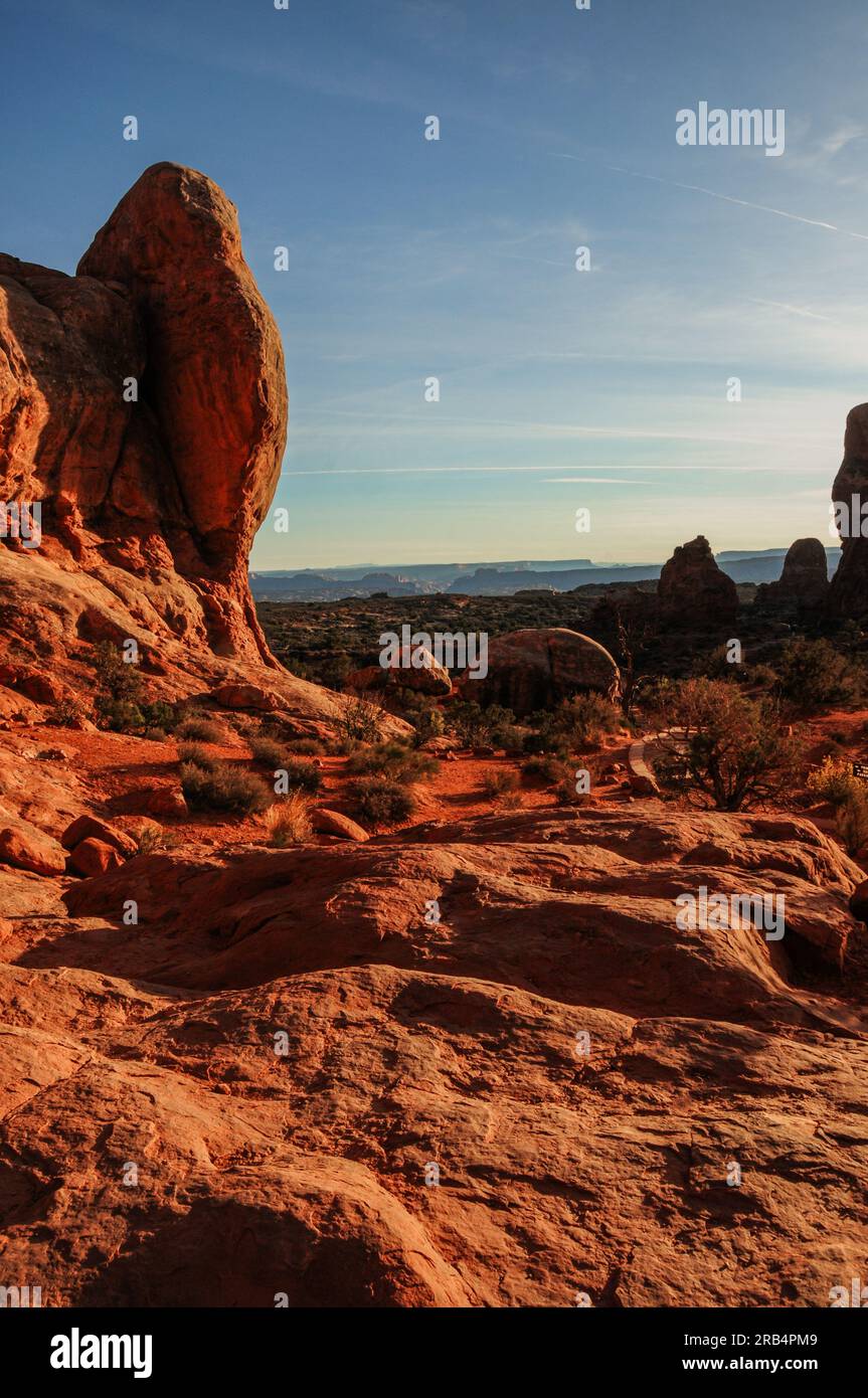 Red rocks coniferous forest mountains hi-res stock photography and ...