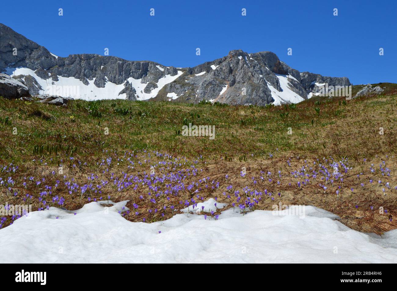 Spring hiking on Treskavica mountain, Bosnia Stock Photo - Alamy