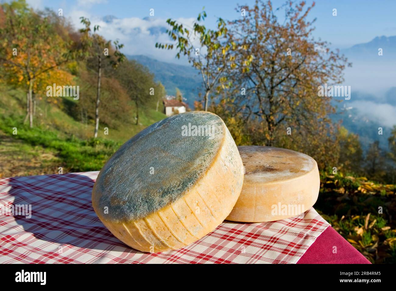 Asiago cheese italy hi-res stock photography and images - Alamy