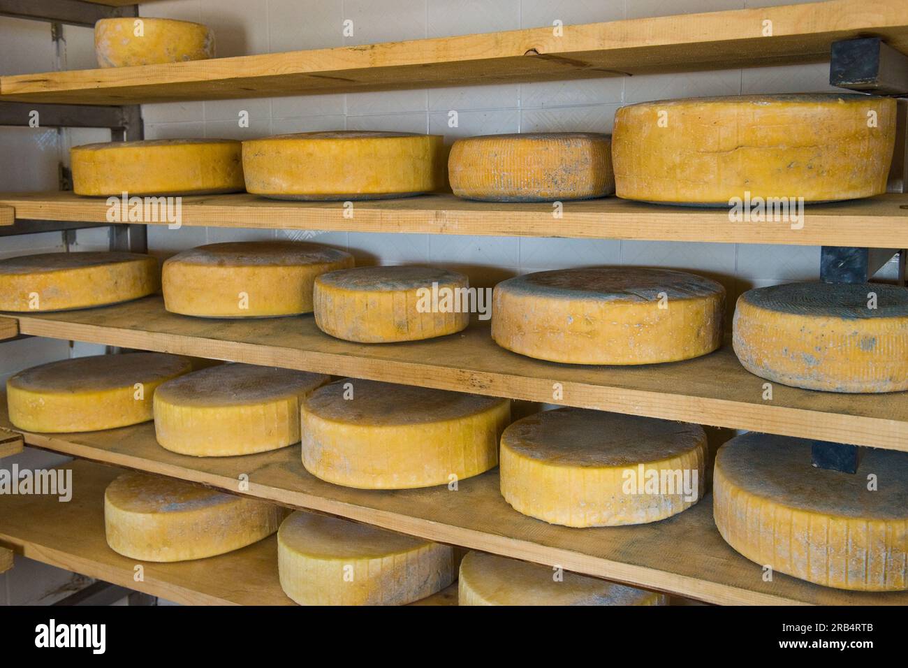 Italian cheese wheels hi-res stock photography and images - Alamy