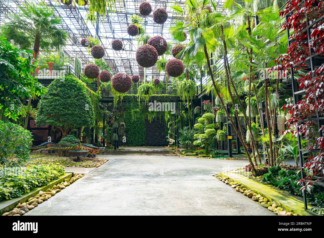 Plants and flowers of sky garden Stock Photo - Alamy