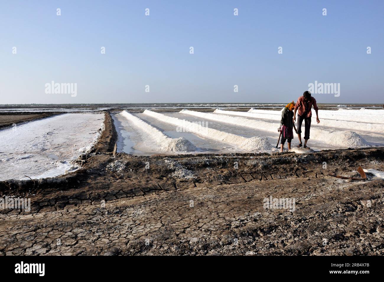 Gujarat. Rann of Kutch. saline Stock Photo - Alamy