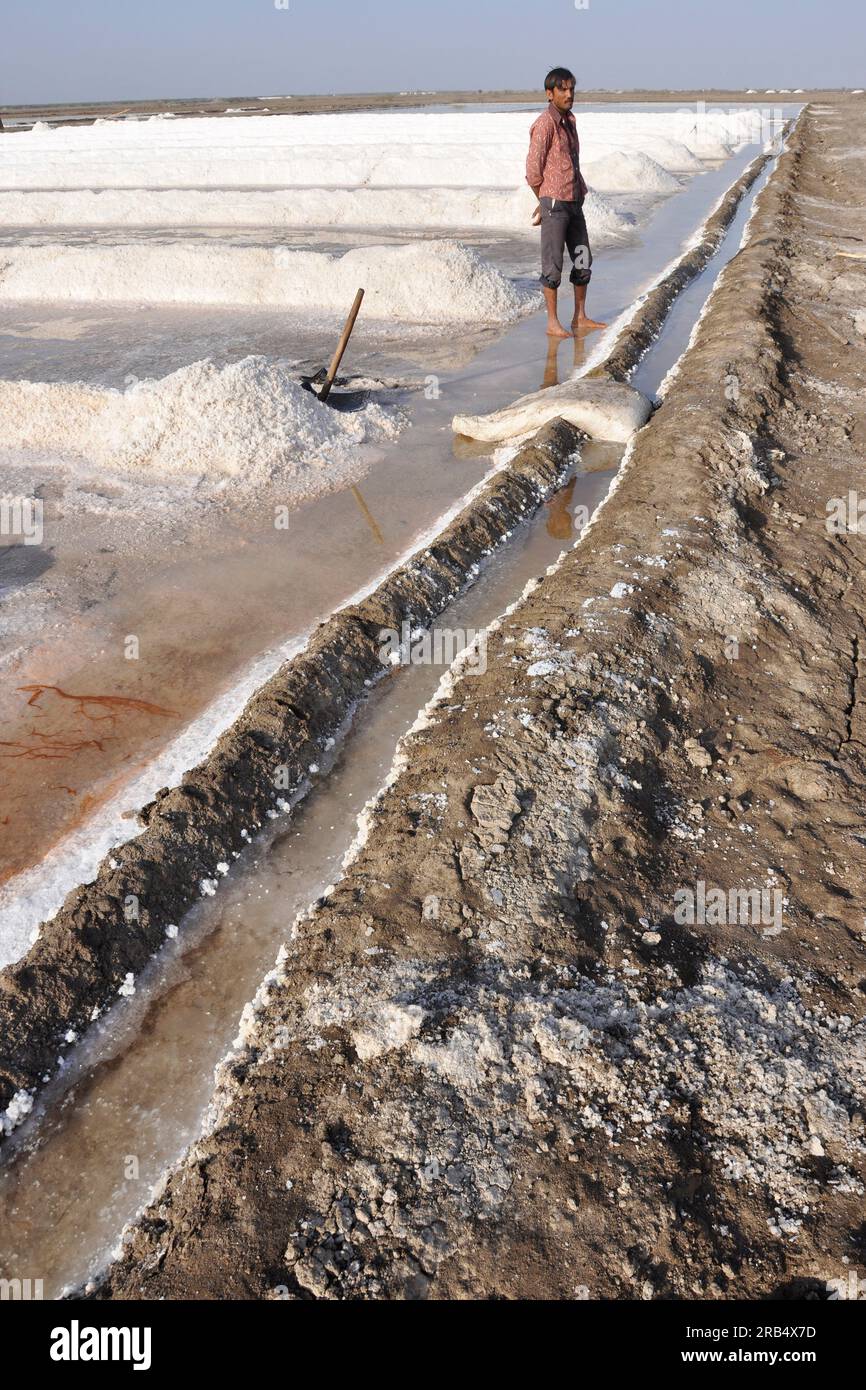Gujarat. Rann of Kutch. saline Stock Photo - Alamy