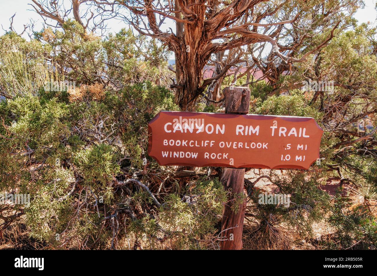 Signs for Canyon Rim Trail at the Colorado National Monument Stock ...